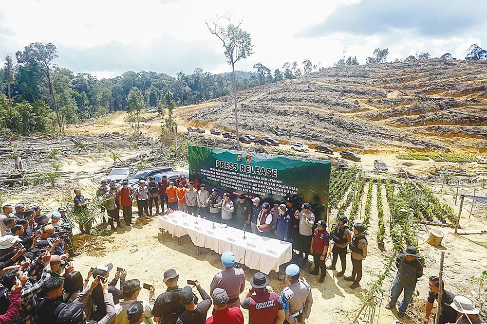 Empat Orang Ditangkap karena Kelola Kebun Sawit Ilegal di Hutan Lindung Kampar | Riau Pos